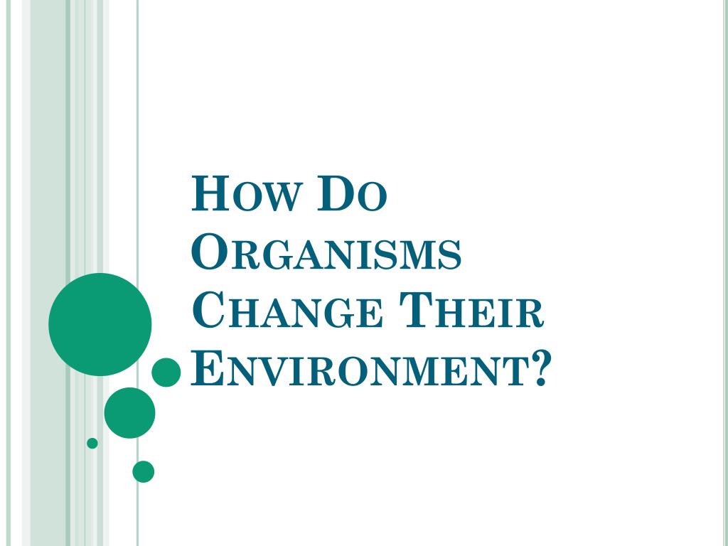 PPT - How Do Organisms Change Their Environment? PowerPoint ...