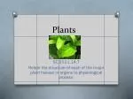 PPT - Plants PowerPoint Presentation, free download - ID:3074082