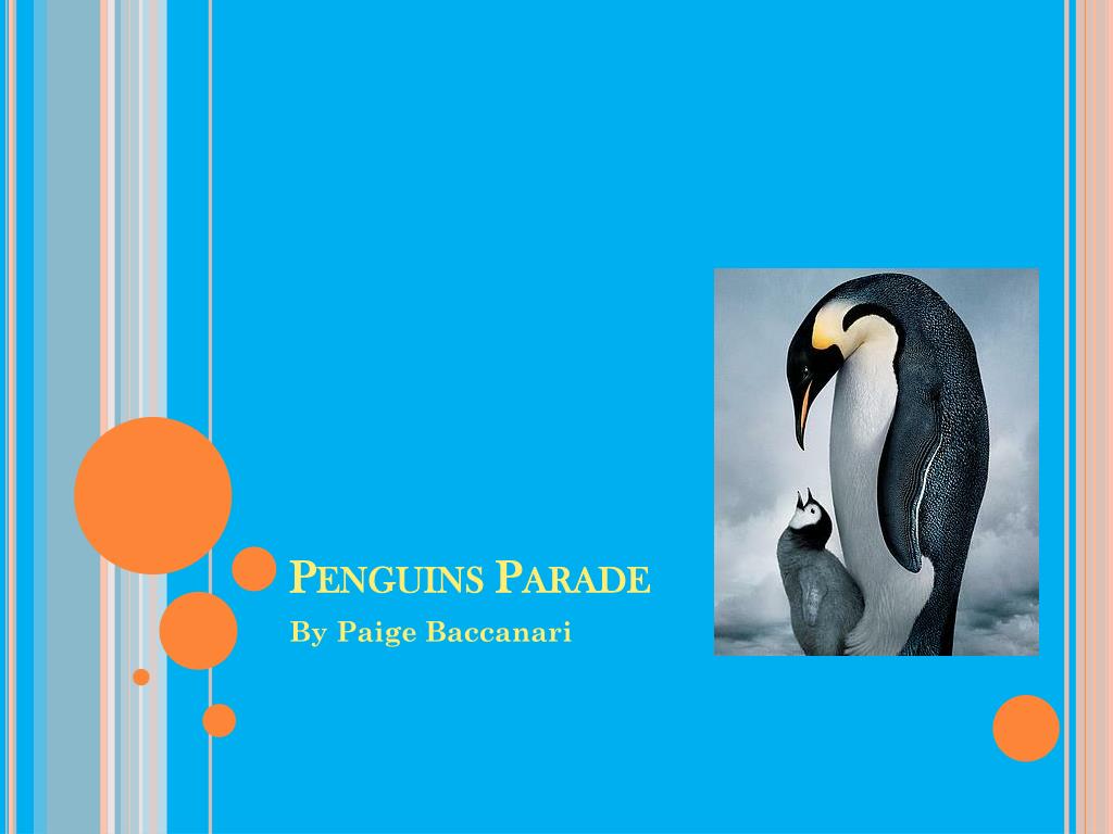 PPT - Penguins Parade PowerPoint Presentation, free download - ID:2486090