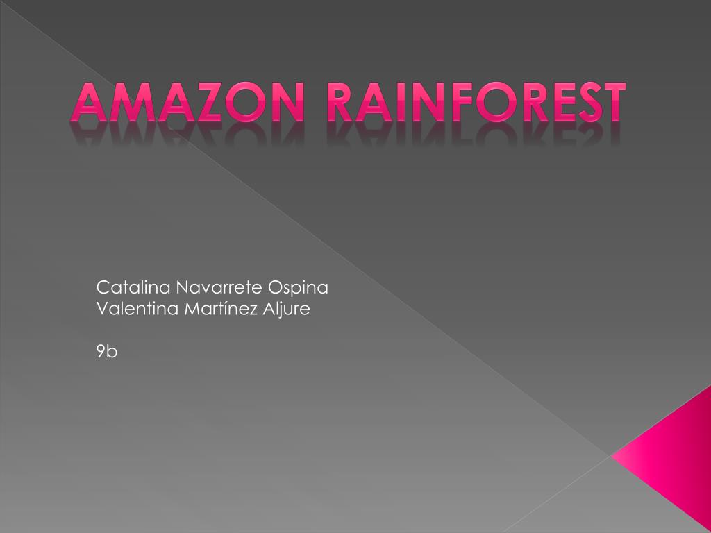PPT - Amazon Rainforest PowerPoint Presentation, free download - ID:2487004