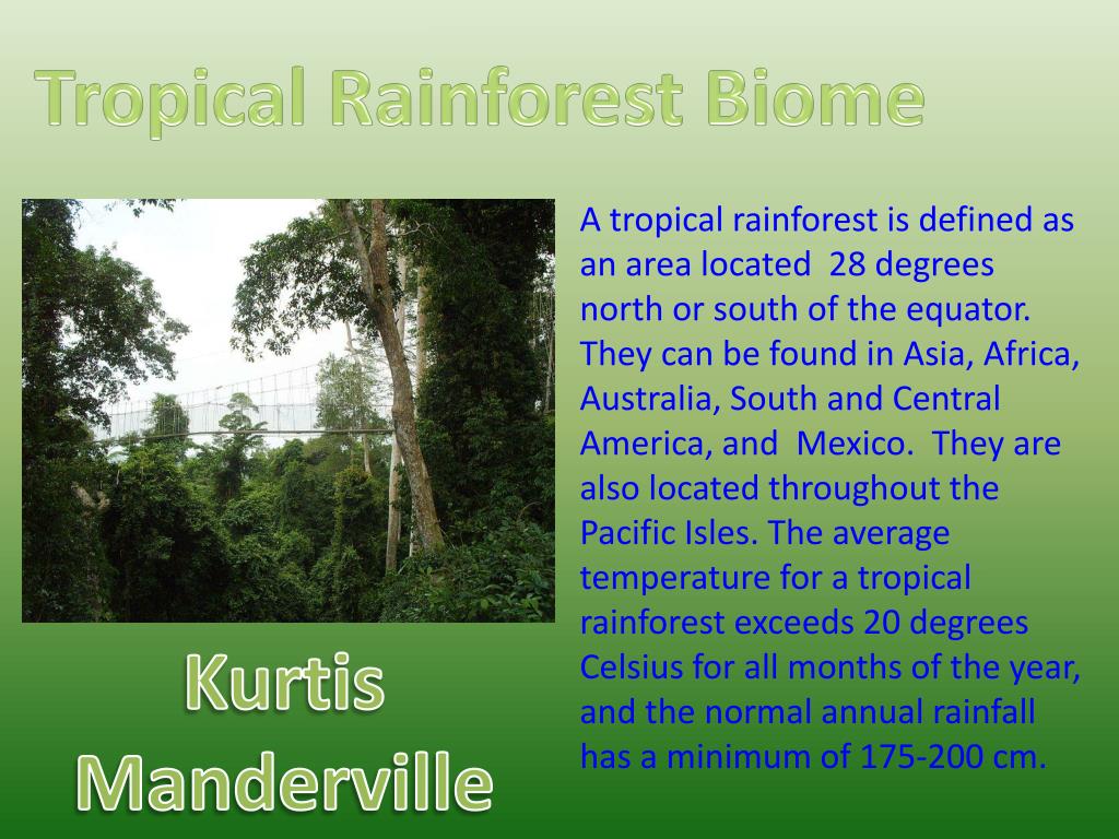 PPT - Tropical Rainforest Biome PowerPoint Presentation, free download ...