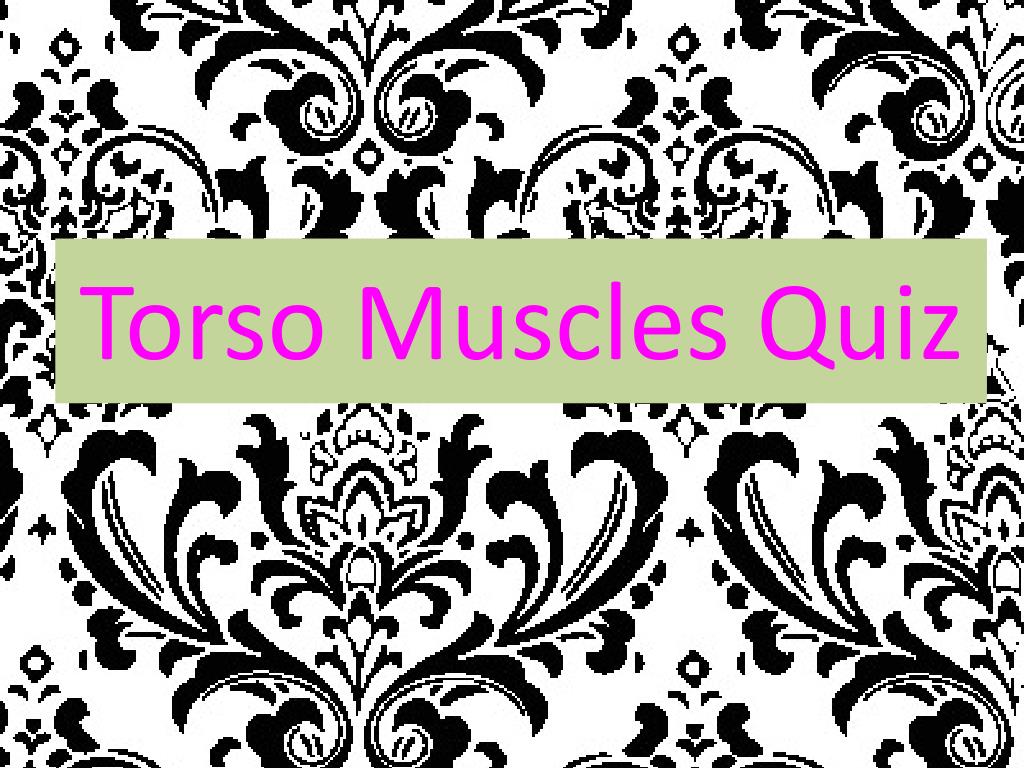 PPT - Torso Muscles Quiz PowerPoint Presentation, free download - ID ...