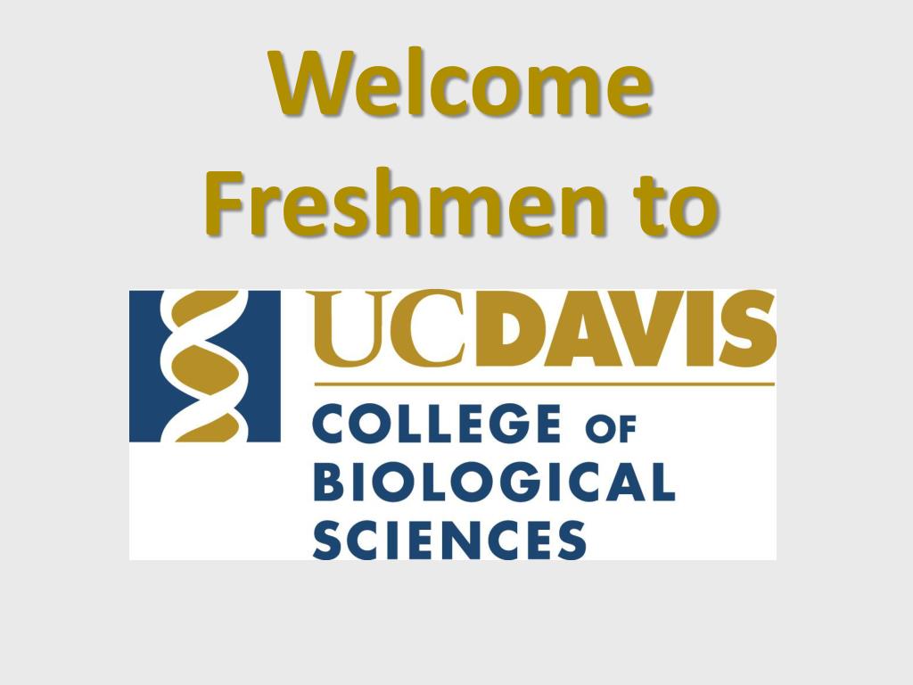 PPT - Welcome Freshmen to PowerPoint Presentation, free download - ID ...
