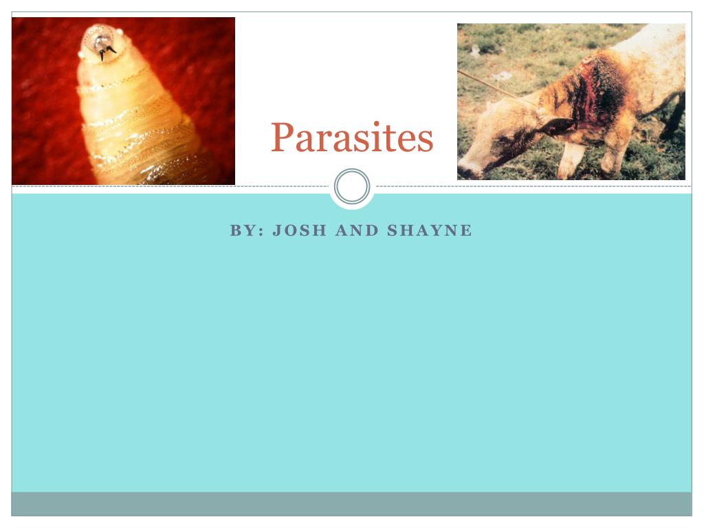 PPT - Parasites PowerPoint Presentation, free download - ID:2490490
