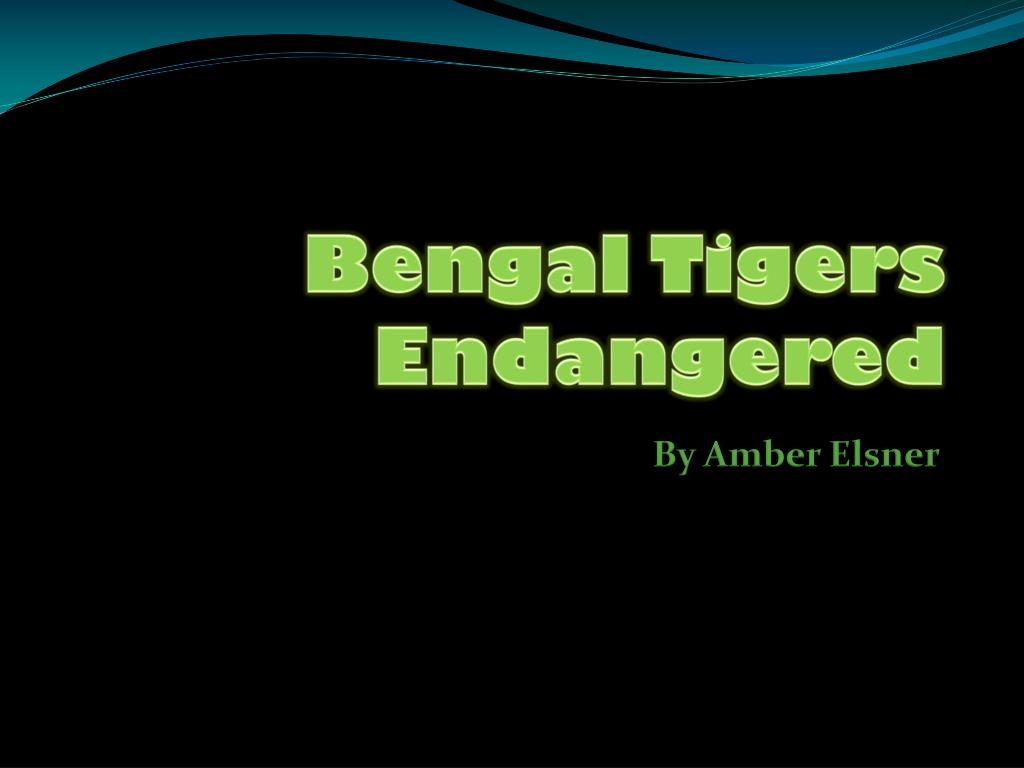 PPT - Bengal Tigers Endangered PowerPoint Presentation, free download ...