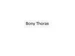 PPT - Anatomy of thorax PowerPoint Presentation, free download - ID:9594222