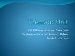 PPT - Planning a Thematic Unit PowerPoint Presentation, free download - ID:4694448