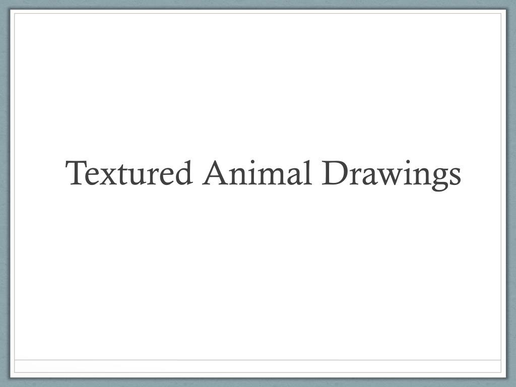 PPT - Wildlife Wonders: Textured Animal Drawings PowerPoint ...