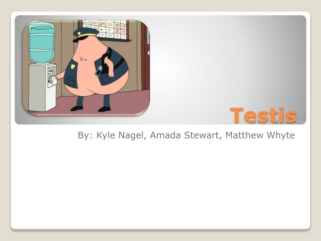PPT - Testis PowerPoint Presentation, free download - ID:2495164