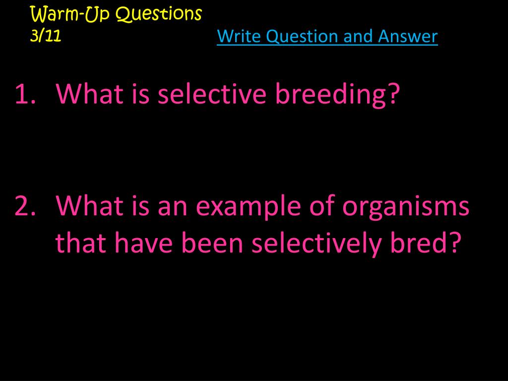 PPT - Warm-Up Questions 3/11 PowerPoint Presentation, free download ...