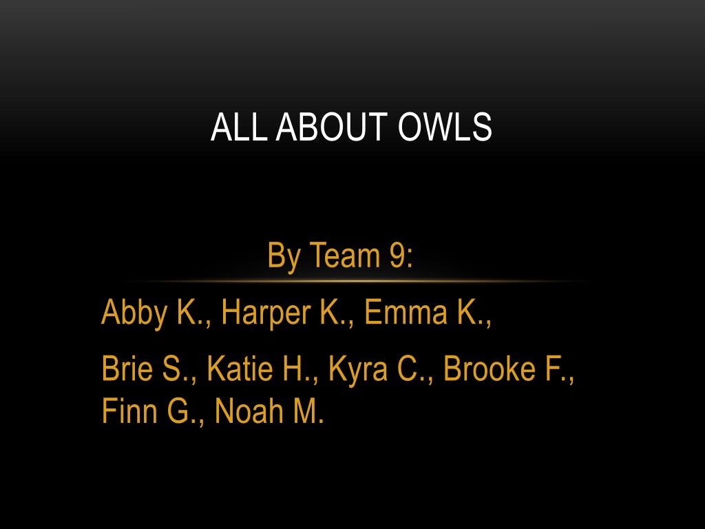 PPT - All About Owls PowerPoint Presentation, free download - ID:2499943