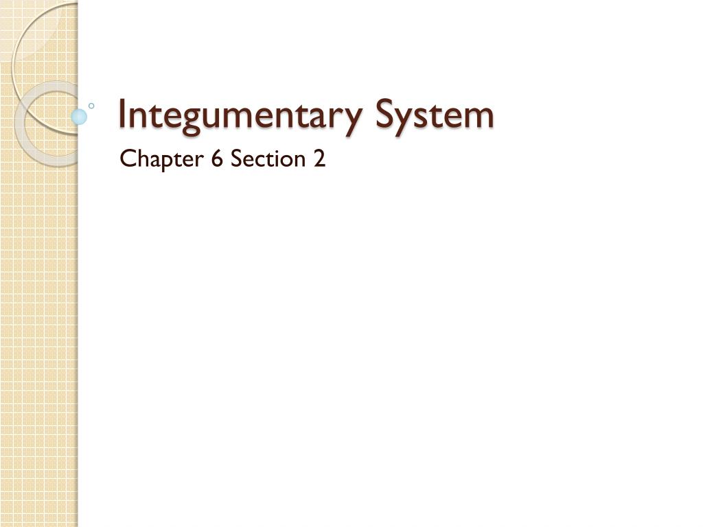 PPT - Integumentary System PowerPoint Presentation, free download - ID ...