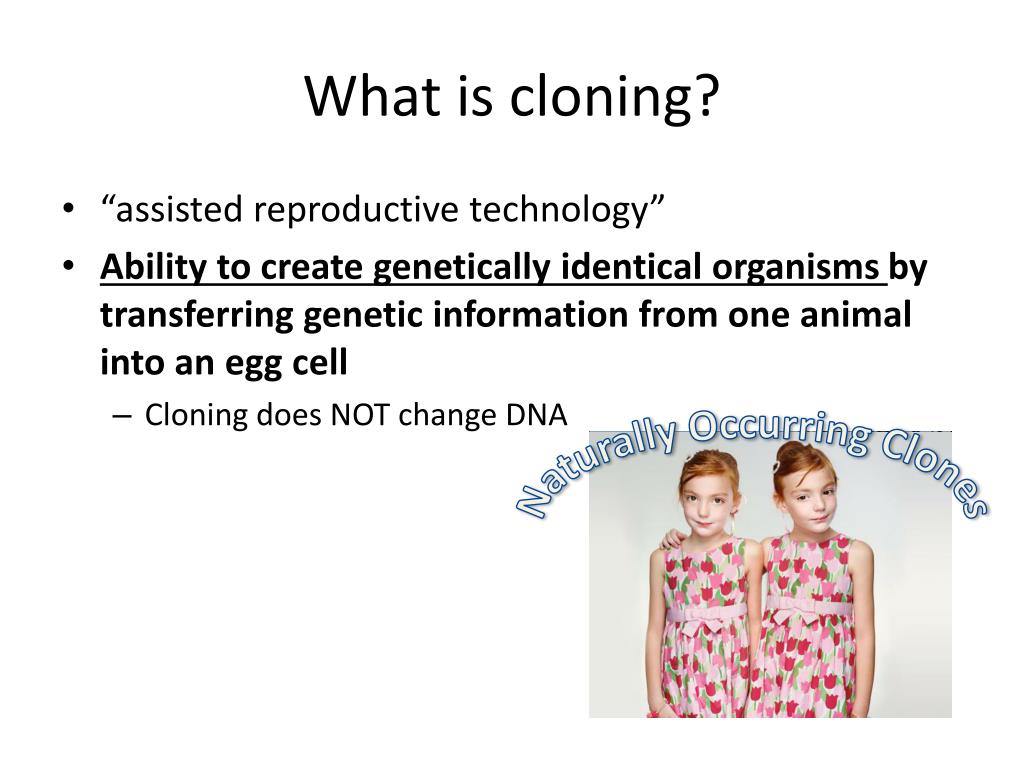 PPT - What is cloning? PowerPoint Presentation, free download - ID:2500554