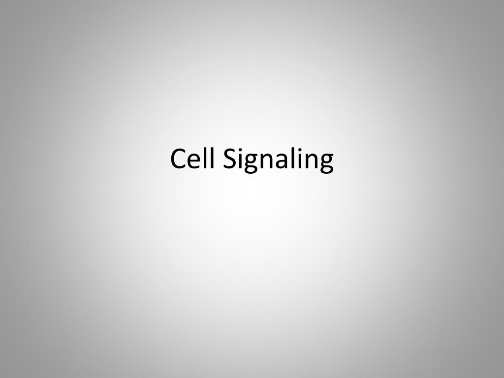 PPT - Cell Signaling PowerPoint Presentation, free download - ID:2502971