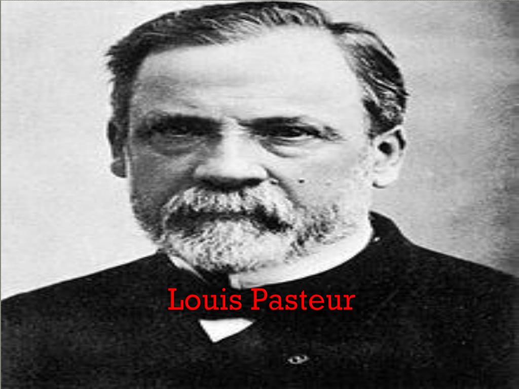 PPT - Louis Pasteur PowerPoint Presentation, free download - ID:2505821