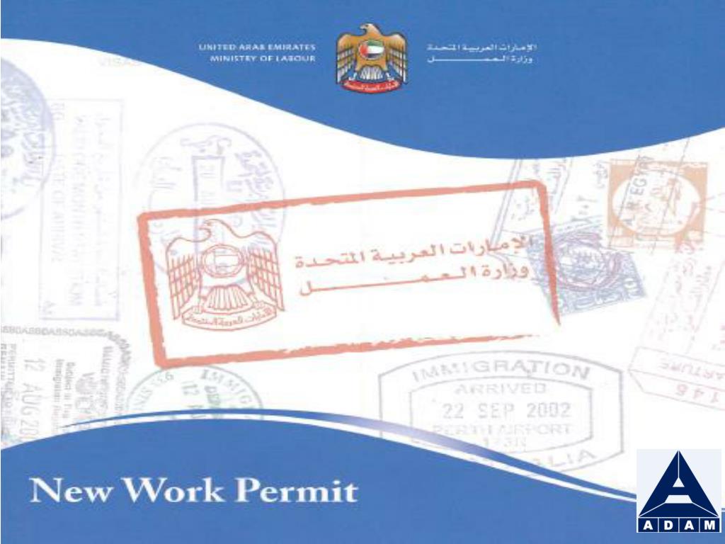 PPT - New Work Permit PowerPoint Presentation, free download - ID:2509698
