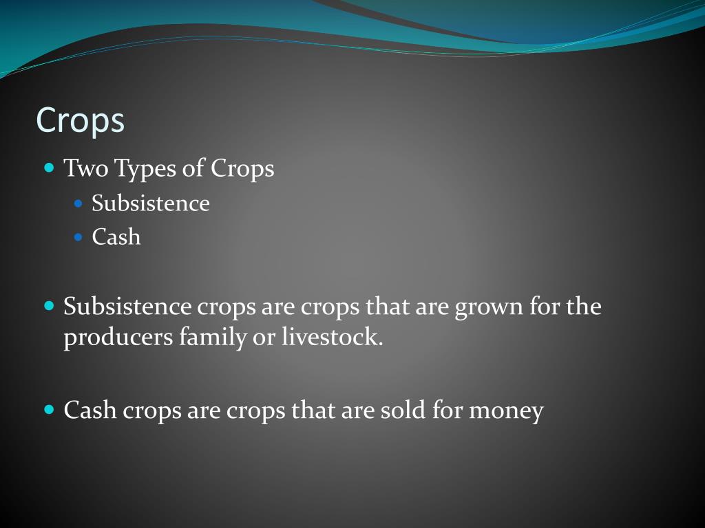 PPT - Crops PowerPoint Presentation, free download - ID:2511412