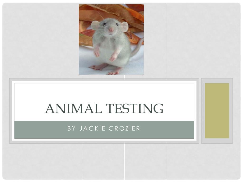 PPT - Animal Testing PowerPoint Presentation, free download - ID:2512164