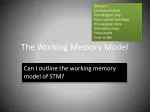 PPT - The Working Memory Model PowerPoint Presentation, free download ...