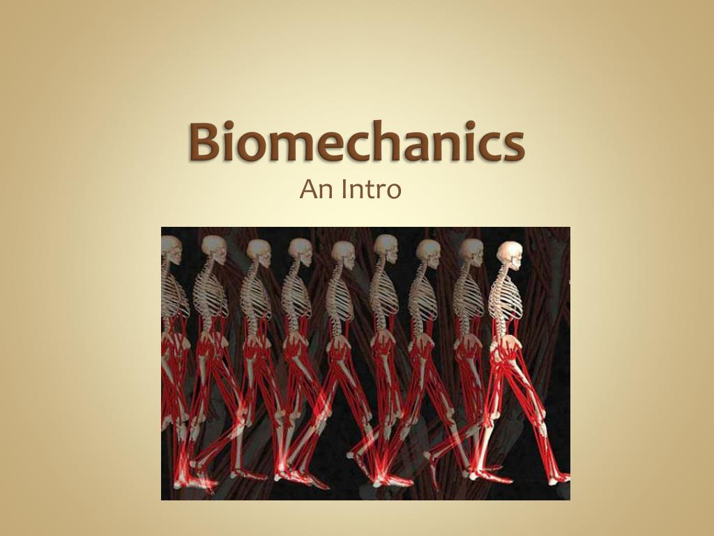 PPT - Biomechanics PowerPoint Presentation, free download - ID:2513687