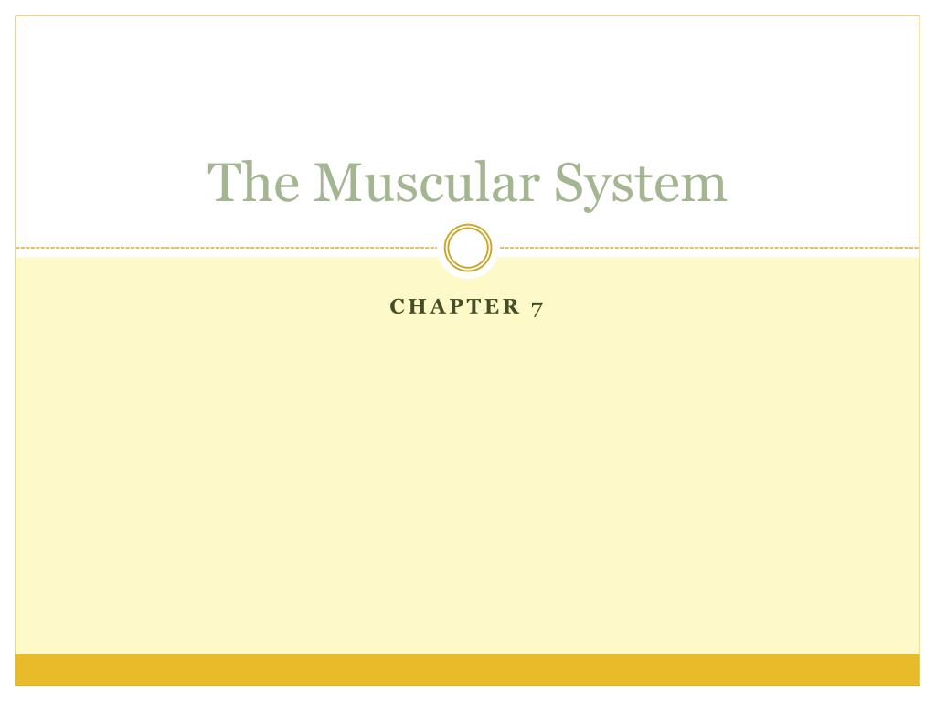 PPT - The Muscular System PowerPoint Presentation, free download - ID ...