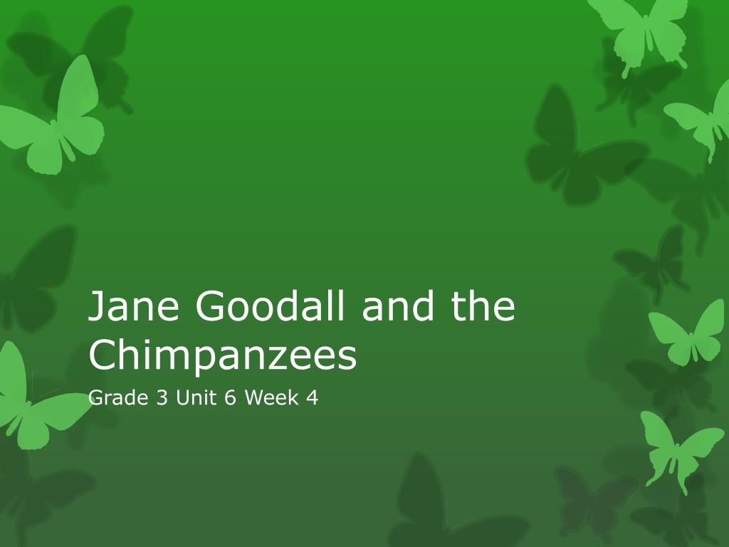 PPT - Jane Goodall and the Chimpanzees PowerPoint Presentation, free ...