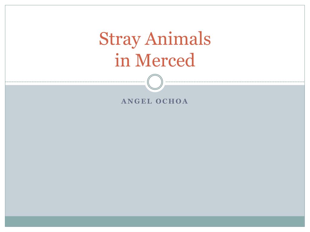 PPT - Stray Animals in Merced PowerPoint Presentation, free download ...