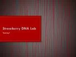 PPT - Strawberry DNA Extraction PowerPoint Presentation, free download ...