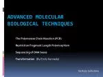 PPT - Molecular Techniques PowerPoint Presentation, free download - ID ...