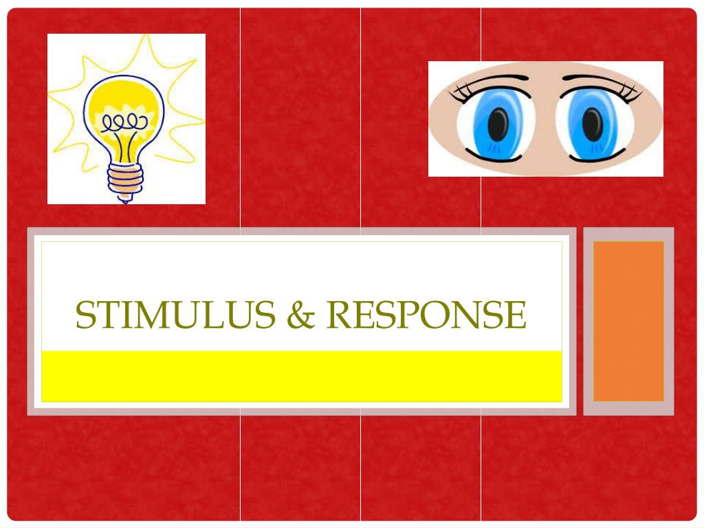 PPT - Stimulus & Response PowerPoint Presentation, free download - ID ...