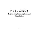 PPT - DNA, RNA and DNA Replication PowerPoint Presentation, free ...