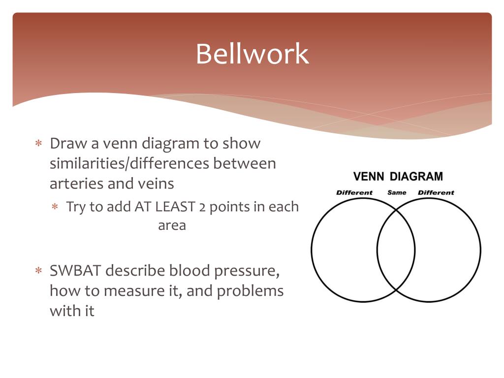 PPT - Bellwork PowerPoint Presentation, free download - ID:2517647