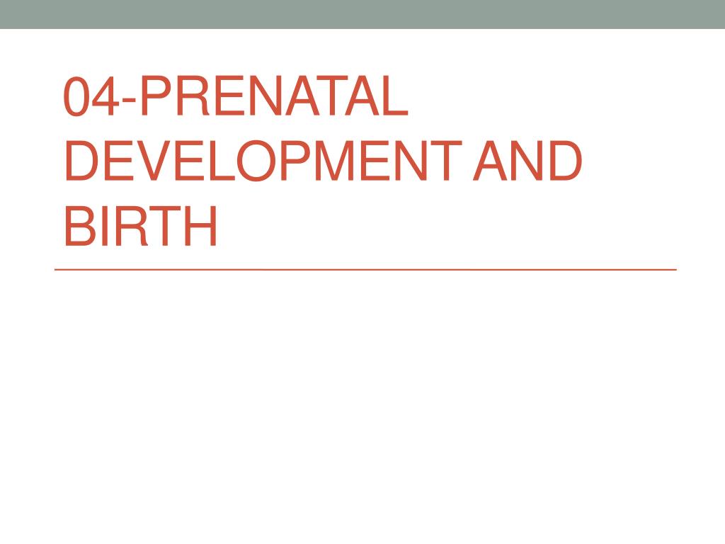 PPT - 04-Prenatal Development and Birth PowerPoint Presentation, free ...