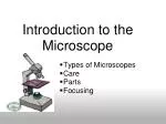 PPT - Introduction to the Light Microscope PowerPoint Presentation ...