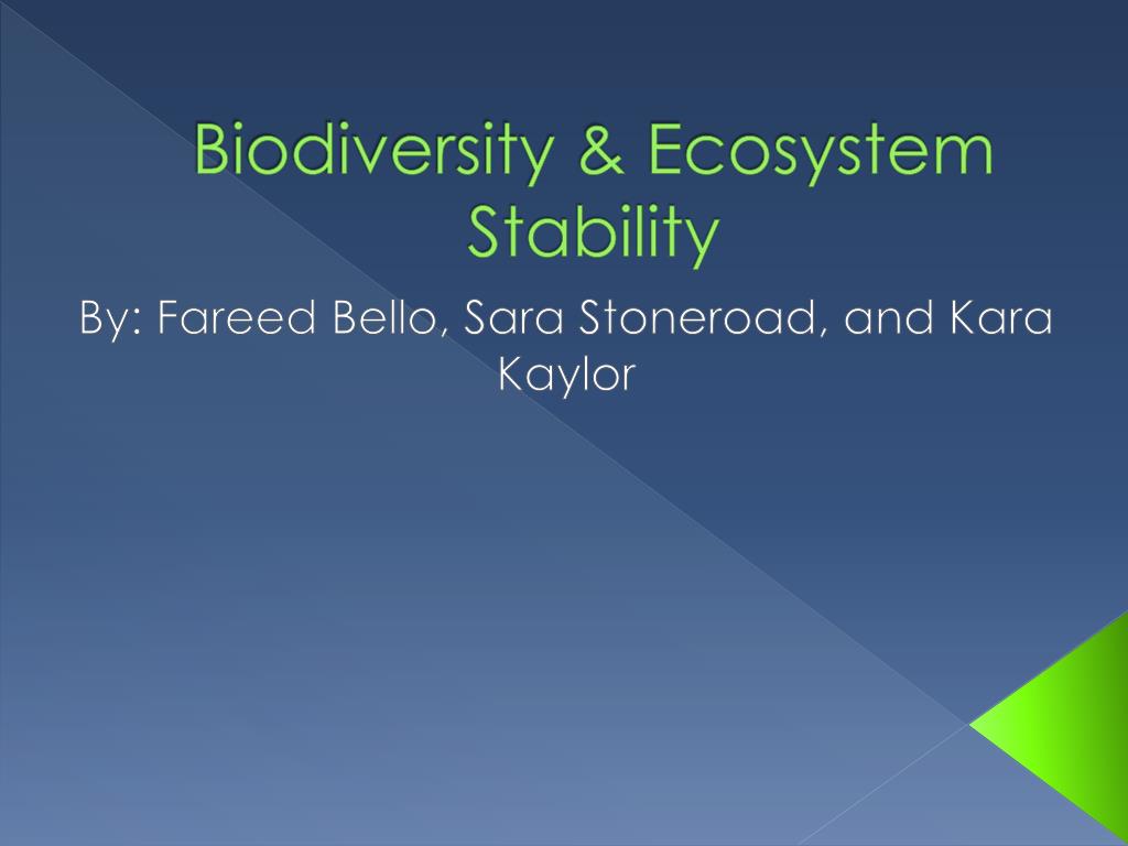 PPT - Biodiversity & Ecosystem Stability PowerPoint Presentation - ID ...