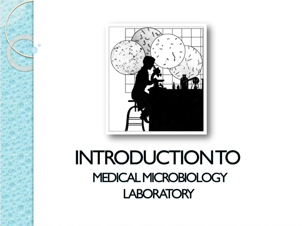 PPT - Introduction to Medical microbiology Laboratory PowerPoint ...