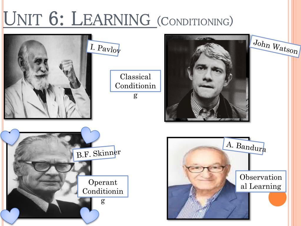 PPT - Unit 6: Learning (Conditioning) PowerPoint Presentation, free ...
