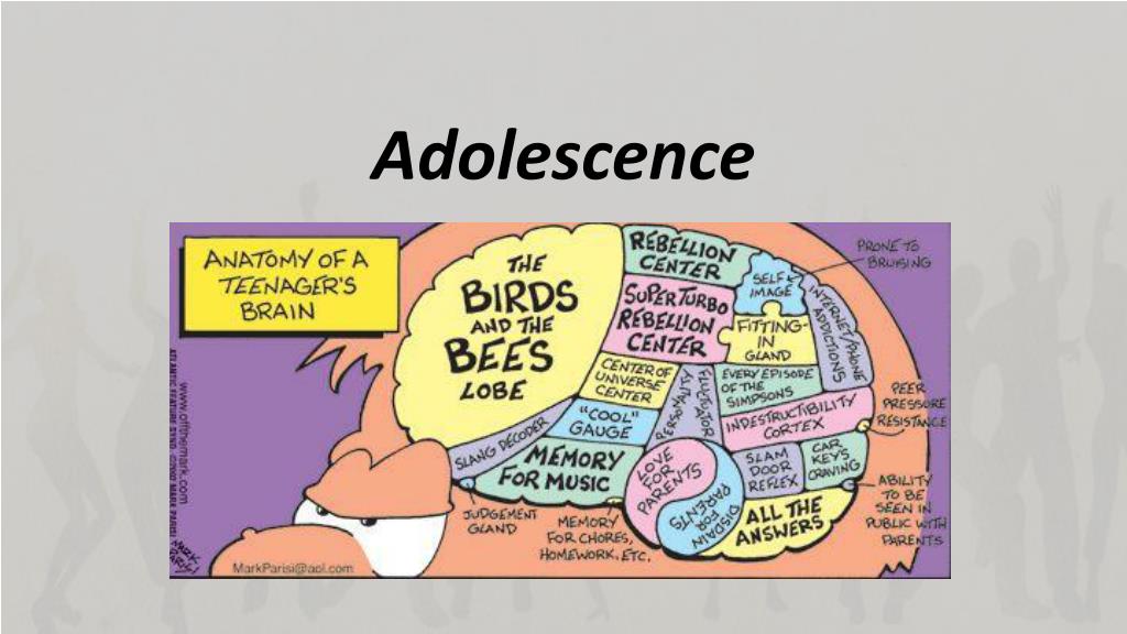 PPT - Adolescence PowerPoint Presentation, free download - ID:2521570