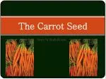 PPT - Leading by using the THE CARROT PRINCIPLE PowerPoint Presentation ...