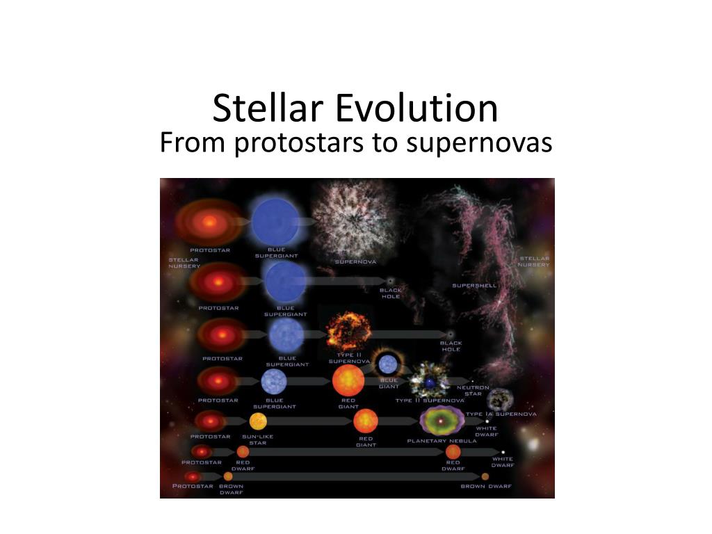 PPT - Stellar Evolution PowerPoint Presentation, free download - ID:2523249