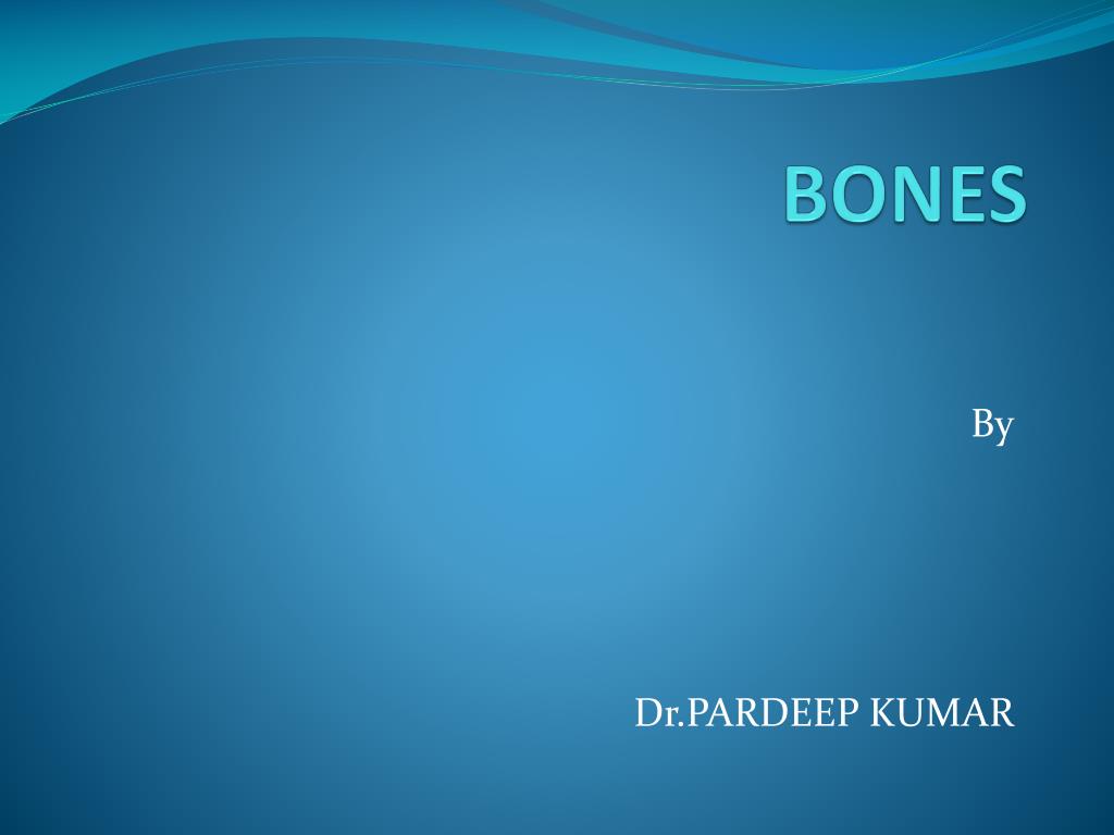 PPT - BONES PowerPoint Presentation, free download - ID:2523709