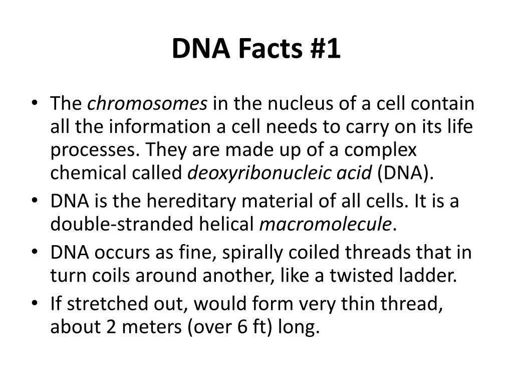 PPT - DNA Facts #1 PowerPoint Presentation, free download - ID:2524526