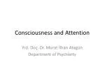 PPT - Attention and the AC-TEA Model PowerPoint Presentation, free ...