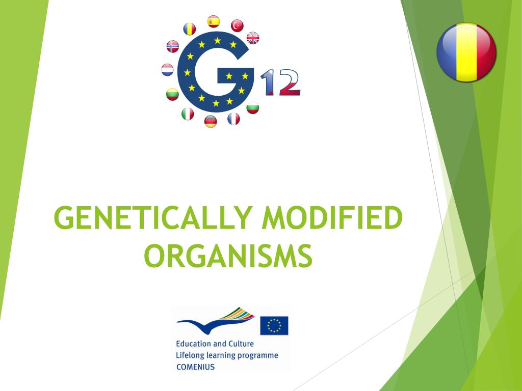 PPT - GENETICALLY MODIFIED ORGANISMS PowerPoint Presentation, free ...