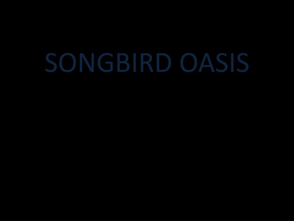PPT - SONGBIRD OASIS PowerPoint Presentation, free download - ID:2528072