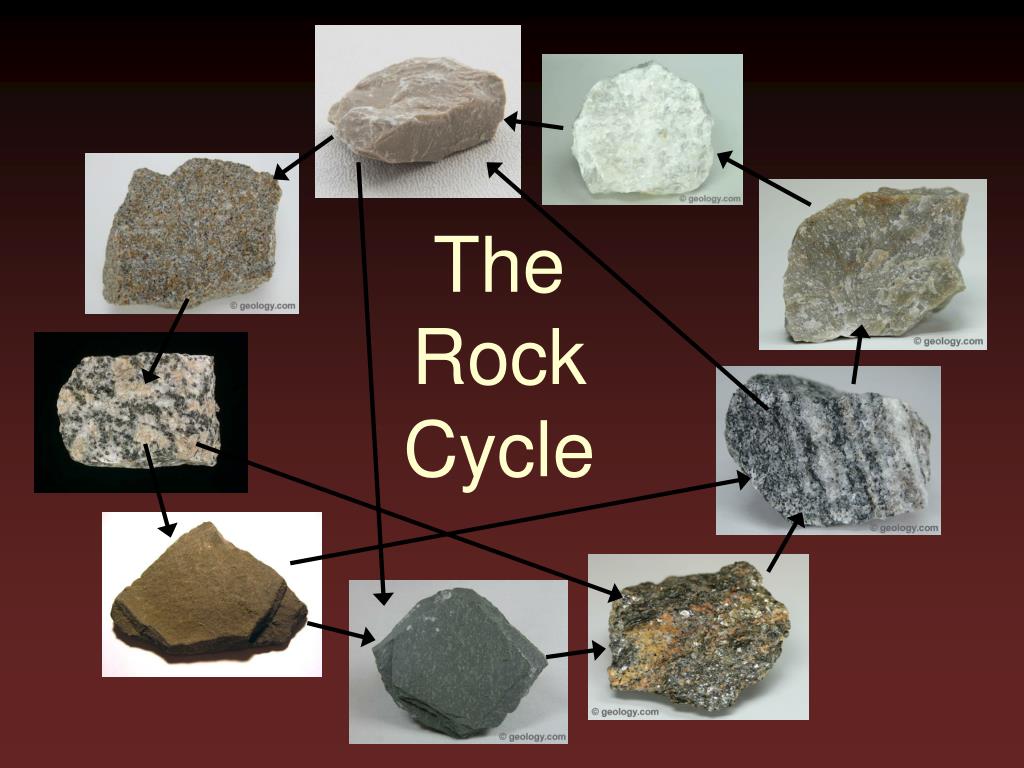PPT - The Rock Cycle PowerPoint Presentation, free download - ID:2528767