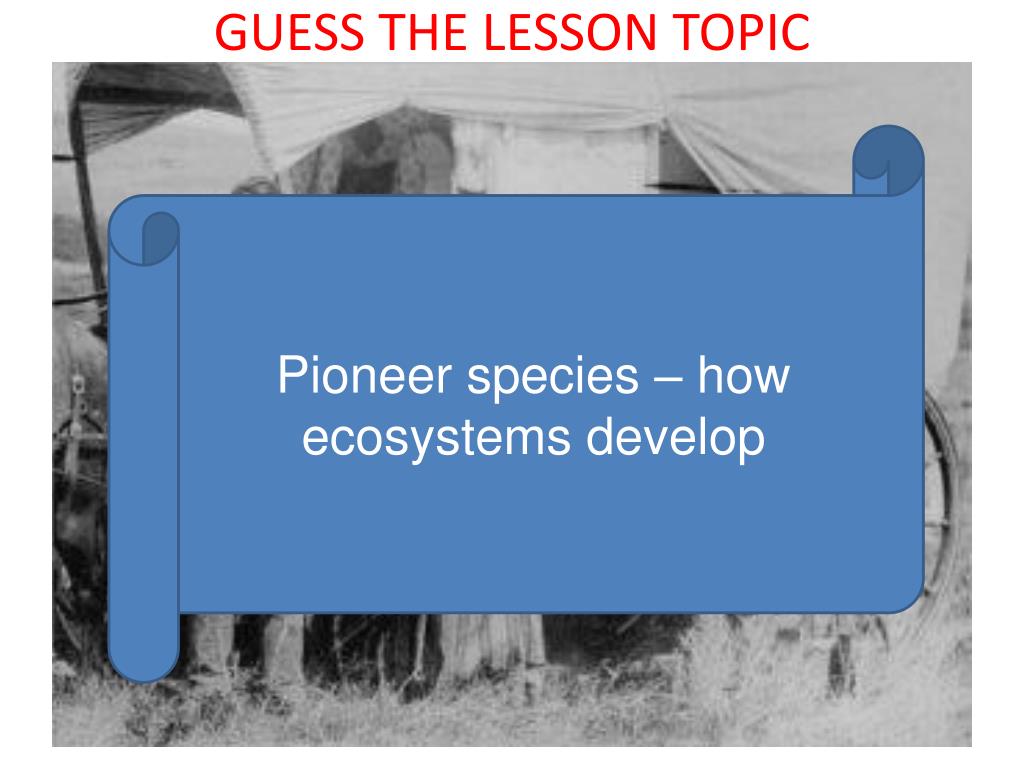 PPT - GUESS THE LESSON TOPIC PowerPoint Presentation, free download ...