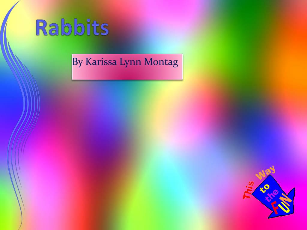 PPT - Rabbits PowerPoint Presentation, free download - ID:2530546