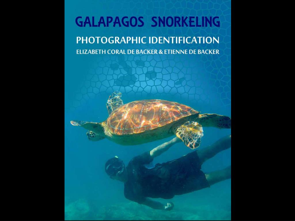 PPT - SNORKELING SITES PowerPoint Presentation, free download - ID:2530822