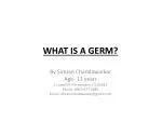 PPT - Dental germ PowerPoint Presentation, free download - ID:2026513